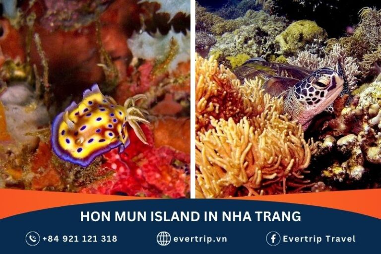 Discover Hon Mun Island: Top Activities & Budget-Savvy Tips